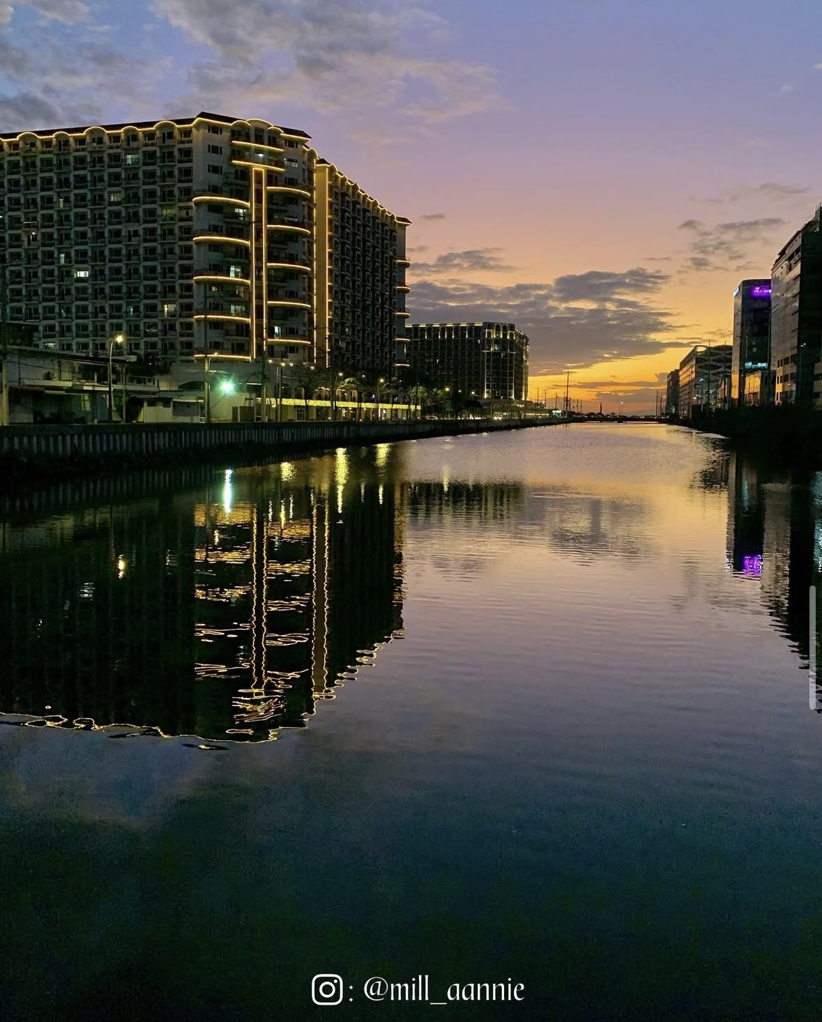 Camille Peña - Portfolio